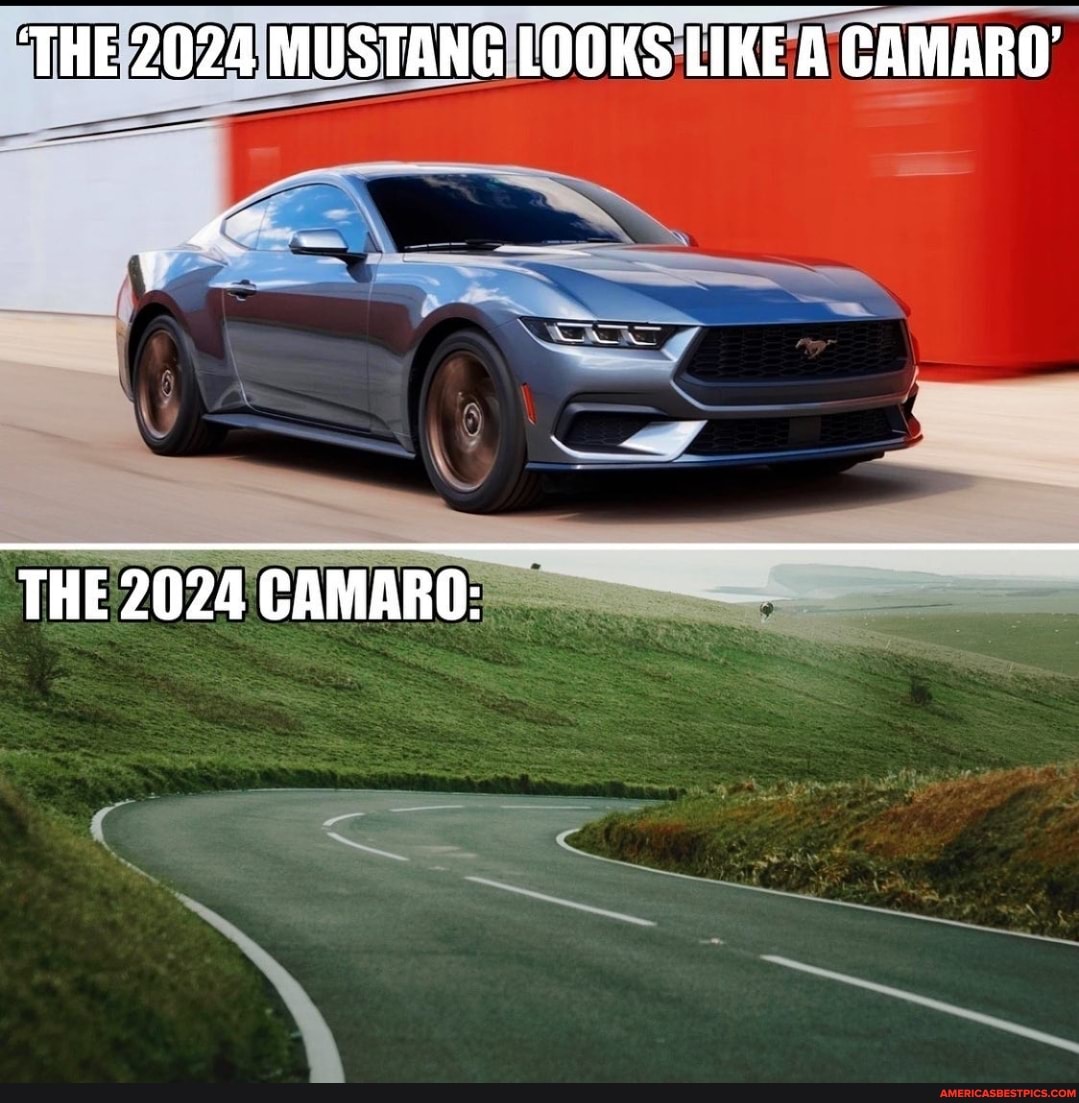 Inspiring New Mustang Looks Like Camaro Photos