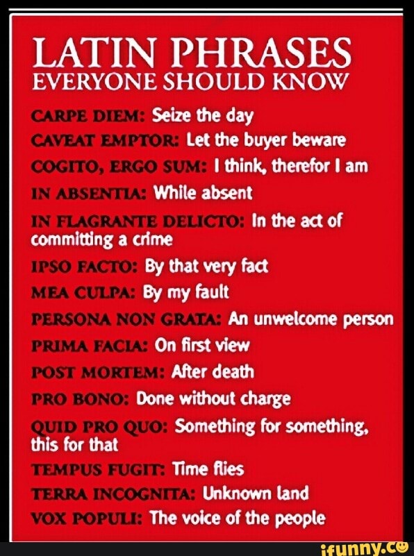 LATIN PHRASES EVERYONE SHOULD KNOW! day Let the buyer beware I think ...