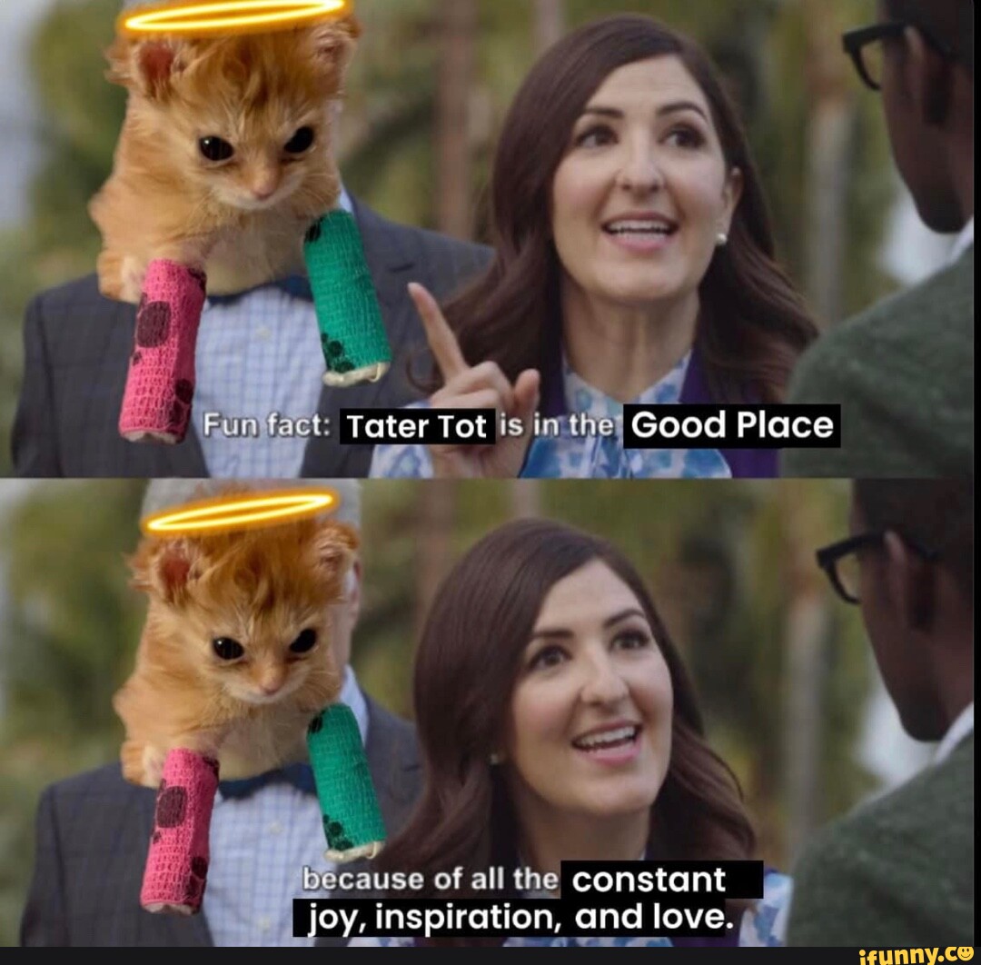 (fact: Tater Tot lis in theI Good Place cause of all the constant _I ...