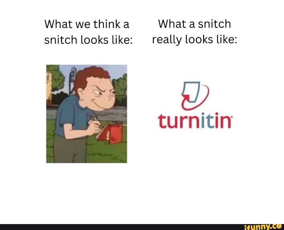 What we think a What a snitch snitch looks like: really looks like ...