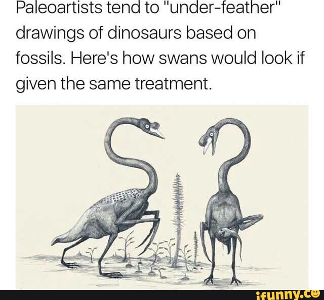 Fossils memes. Best Collection of funny Fossils pictures on iFunny