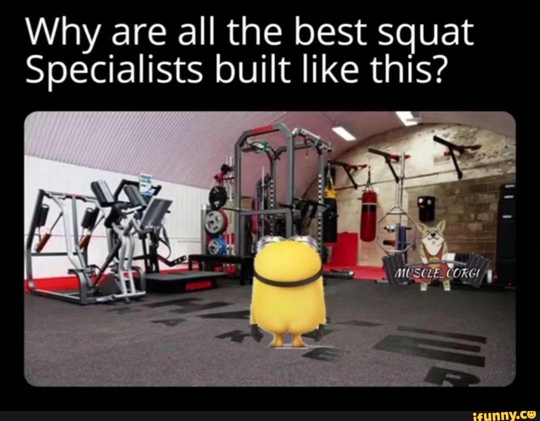 Muscle_corgi memes. Best Collection of funny Muscle_corgi pictures on ...