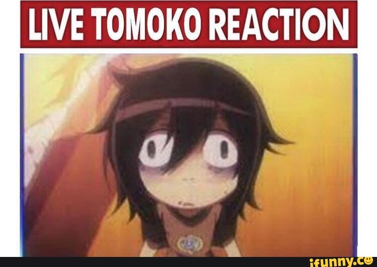 LIVE TOMOKO REACTION OF - iFunny