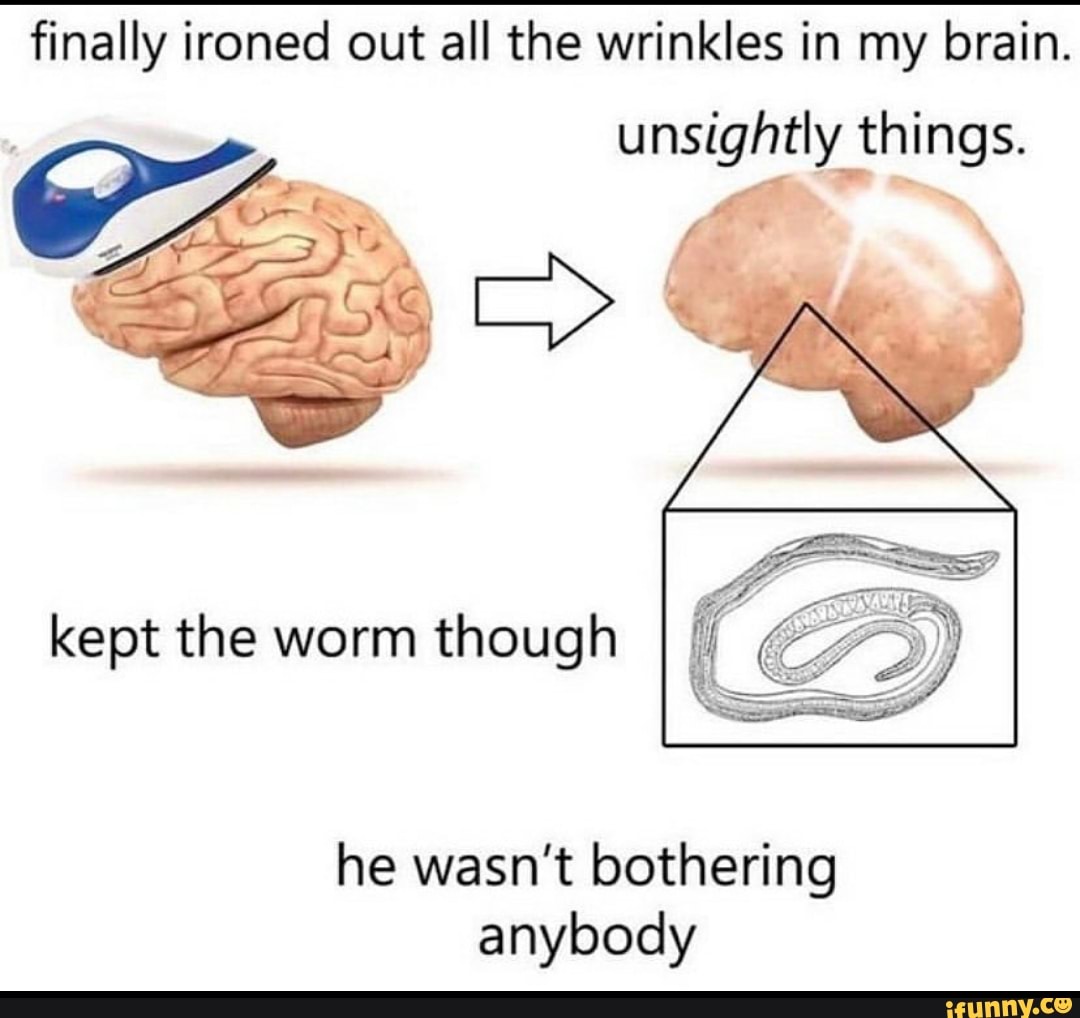 Finally ironed out all the wrinkles in my brain. kept the worm though ...