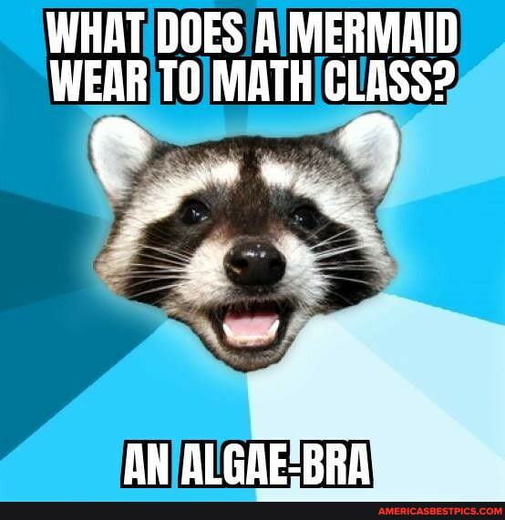 WHAT DOES A MERMAID WEAR TO) MATH CLASS? AN ALGAE-BRA - America’s best ...