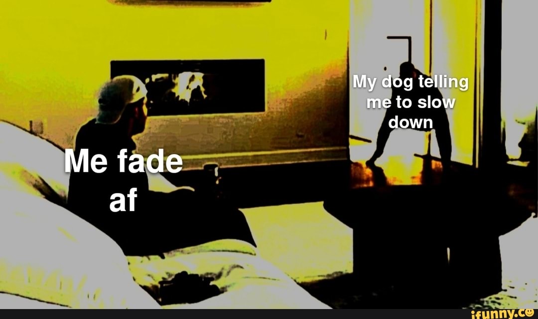 My dog telling me to slow down Me fade af - iFunny