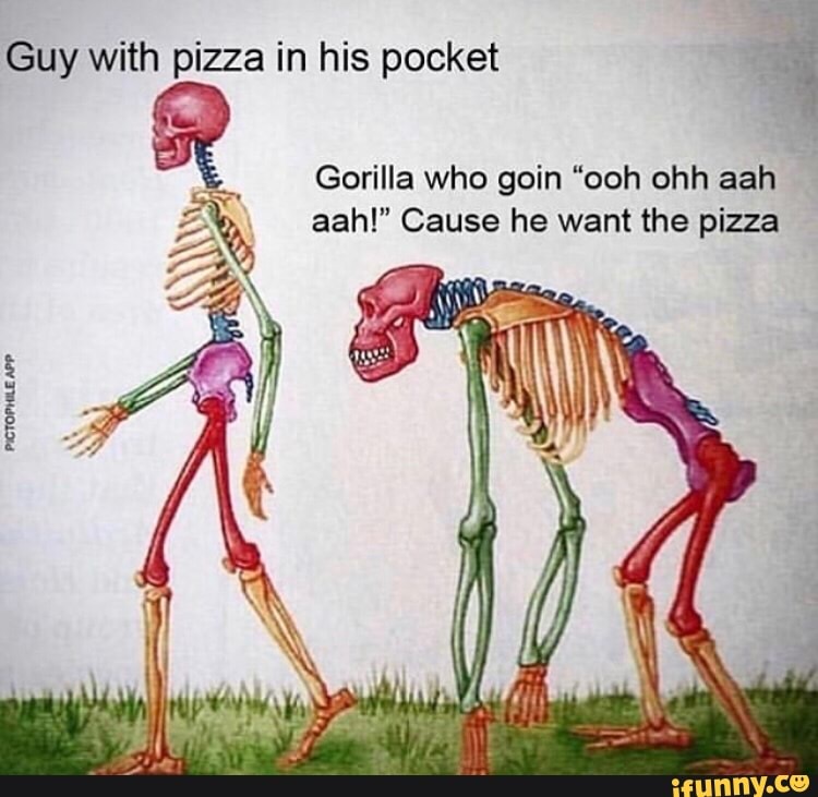 [W Guy with pizza in his pocket ! ! . Gorilla who goin “ooh ohh aah ...