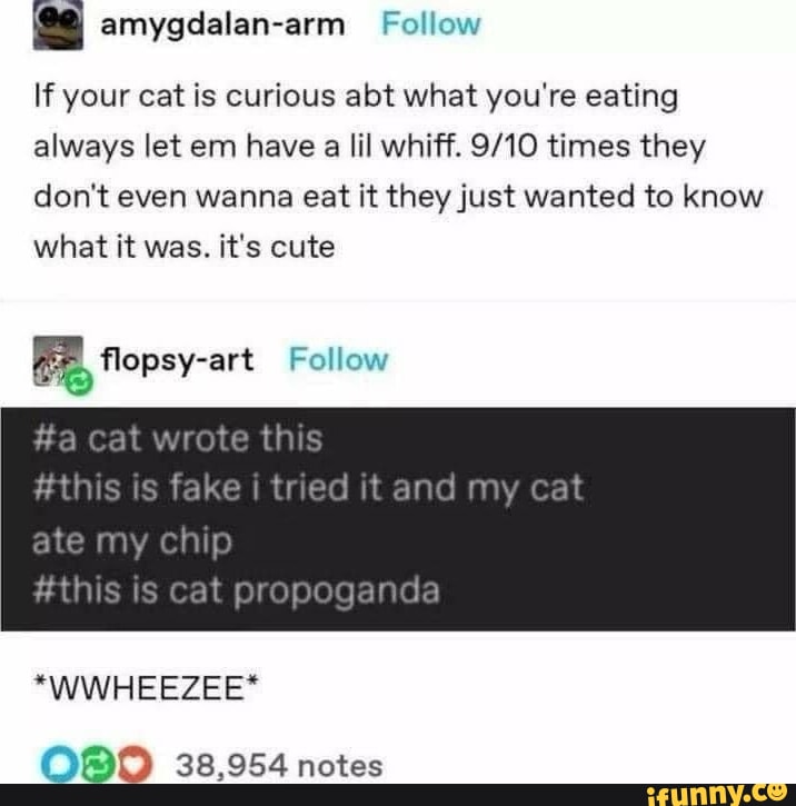 Whiff memes. Best Collection of funny Whiff pictures on iFunny