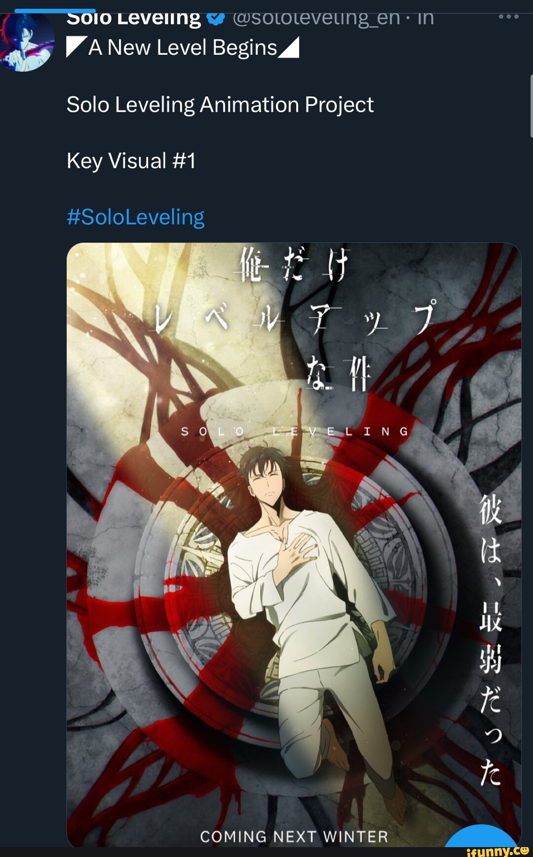 " Leveling @sololeveung en: IN New Level Begins Solo Leveling Animation ...