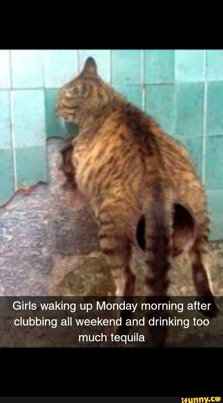 Girls waking up Monday morning after clubbing all weekend and drinking ...