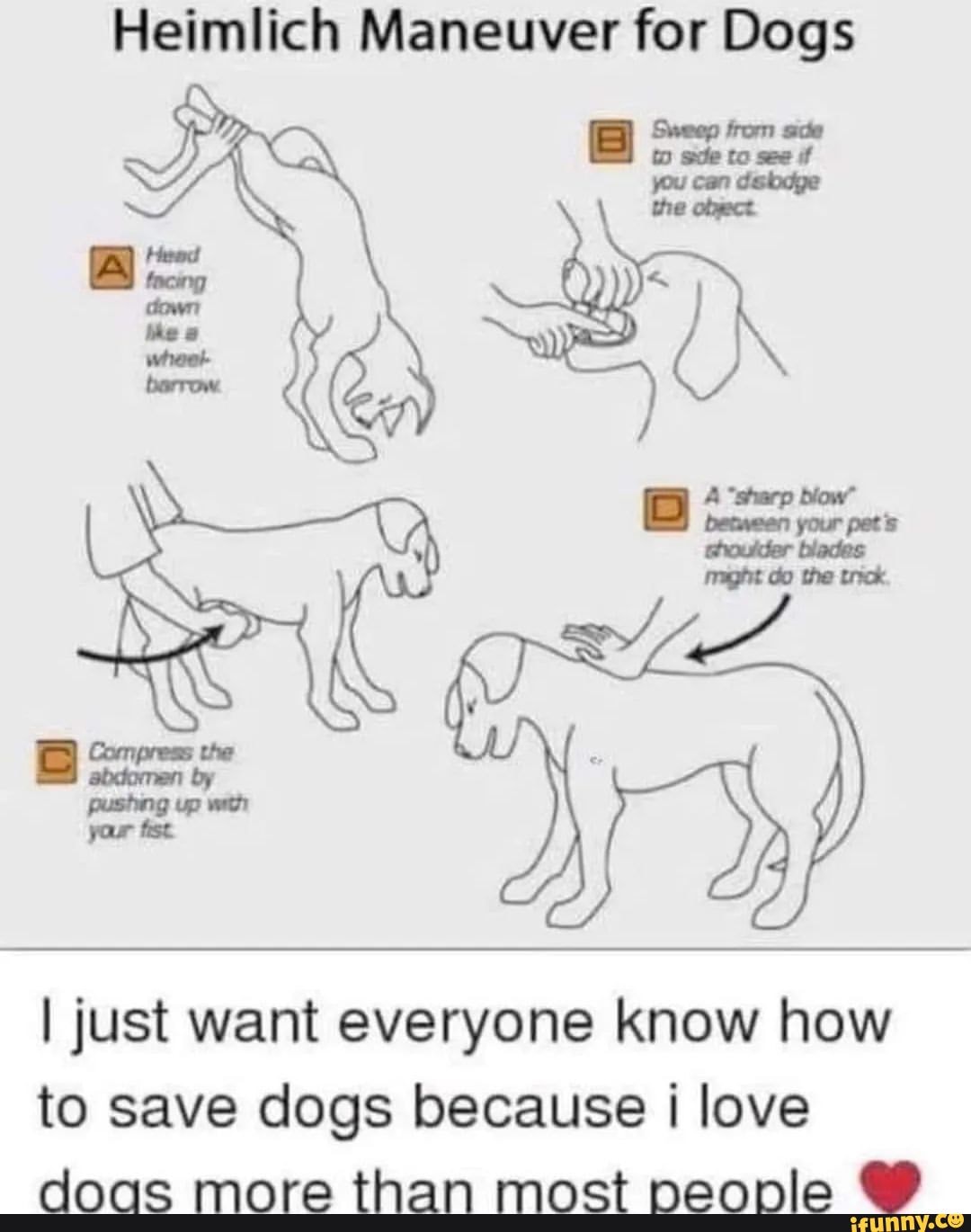 Heimlich Maneuver for Dogs you can dsbdye the obect facing down whoe ...