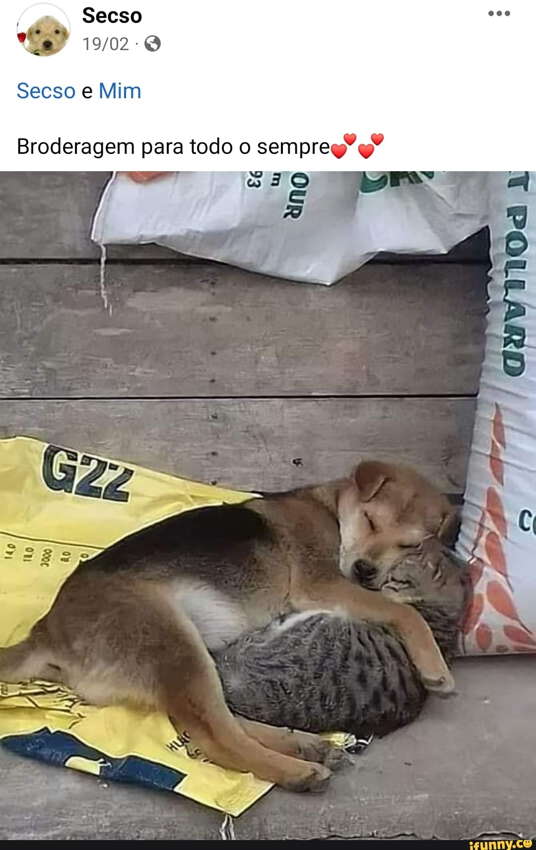 , Secso Secso e Mim Broderagem para todo o sempre" - iFunny Brazil