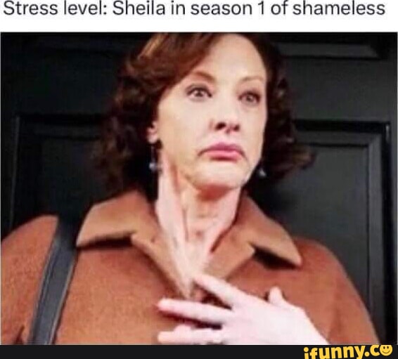 Sheilagh Memes Sheila, Queen Of The North : R/NFCNorthMemeWar