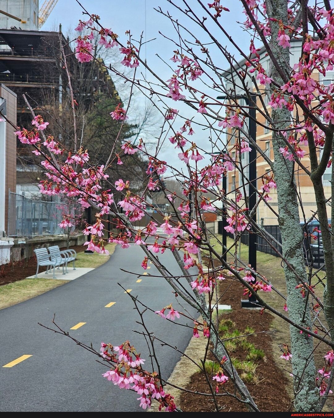 The Fenway Path is a new bicycle and pedestrian path, from Fenway ...