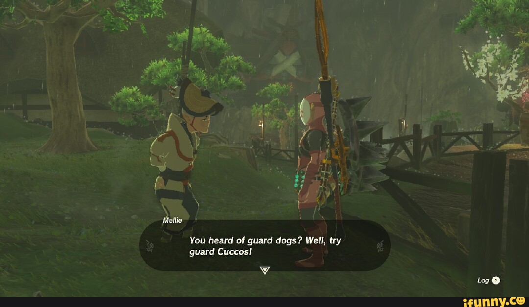 Cuccos memes. Best Collection of funny Cuccos pictures on iFunny