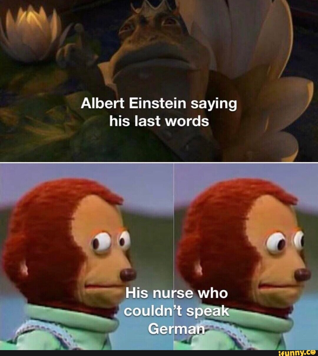 Albert Einstein saying his last words His nurse who couldn't speak ...
