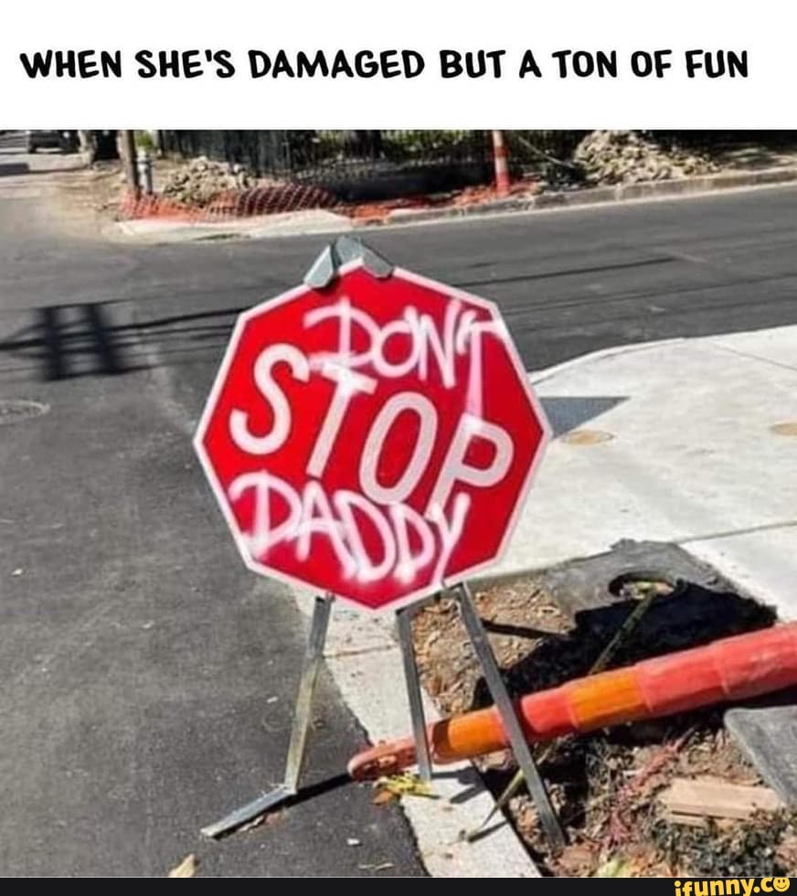 WHEN SHE'S DAMAGED BUT A TON OF FUN I - iFunny