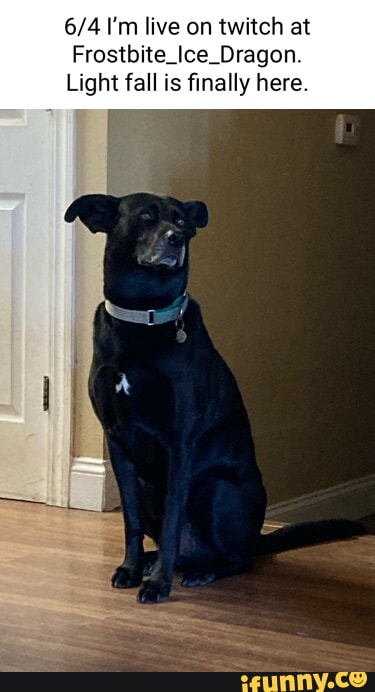 Fall memes. Best Collection of funny Fall pictures on iFunny