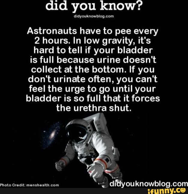 Bladder memes. Best Collection of funny Bladder pictures on iFunny