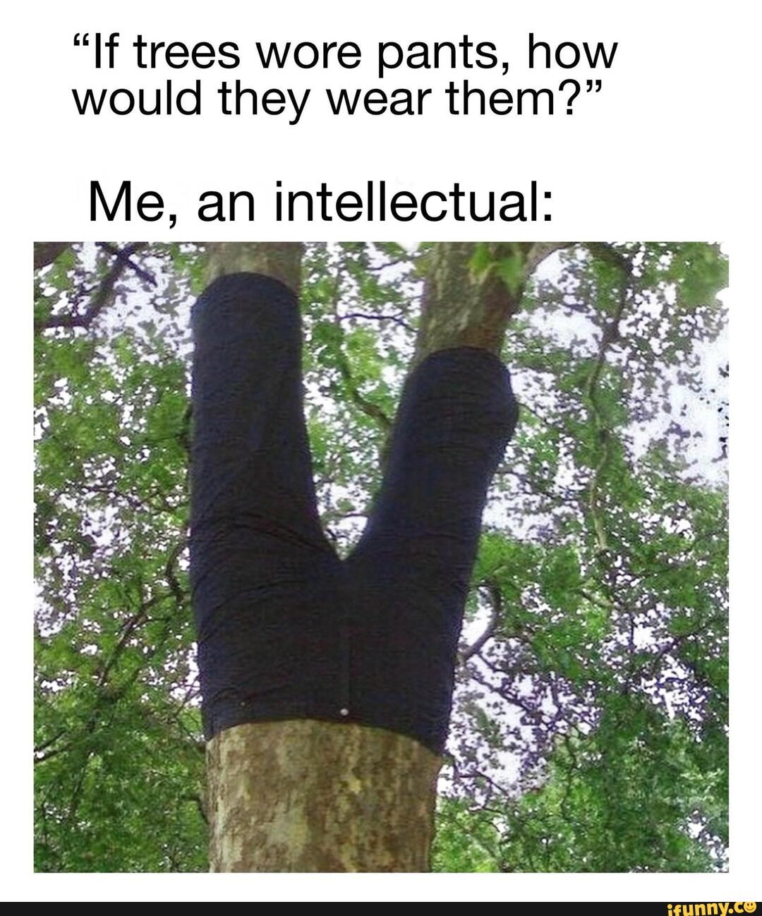 "If trees wore pants, how would they wear them?" Me, an intellectual ...