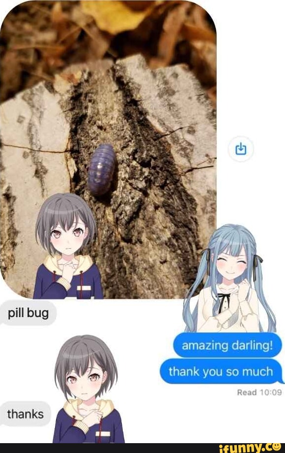 Who invited my man blud Bro thinks he's on the team RR - iFunny