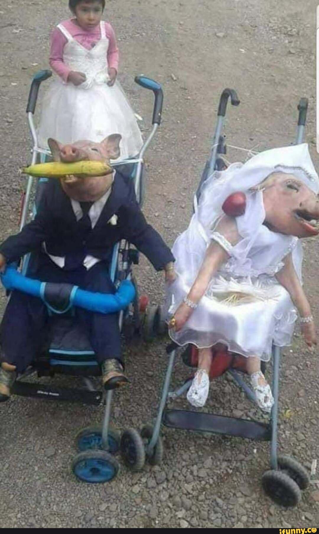 Cursed_wedding memes. Best Collection of funny Cursed_wedding pictures ...