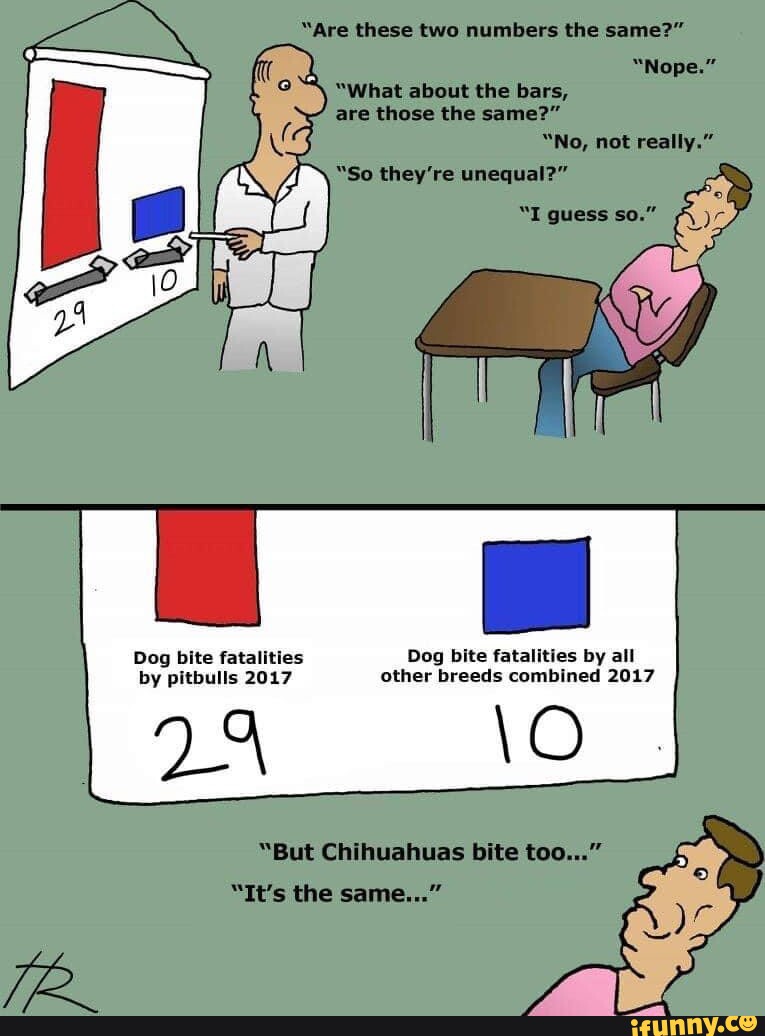 "Are these two numbers the same?" "Nope." "What about the bars, are ...