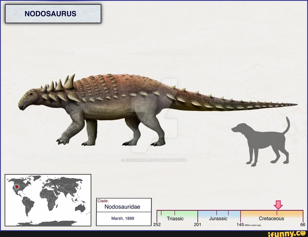 NODOSAURUS Nodosauridae Marsh, 1889 Triassic Jurassic Cretaceous 252 ...
