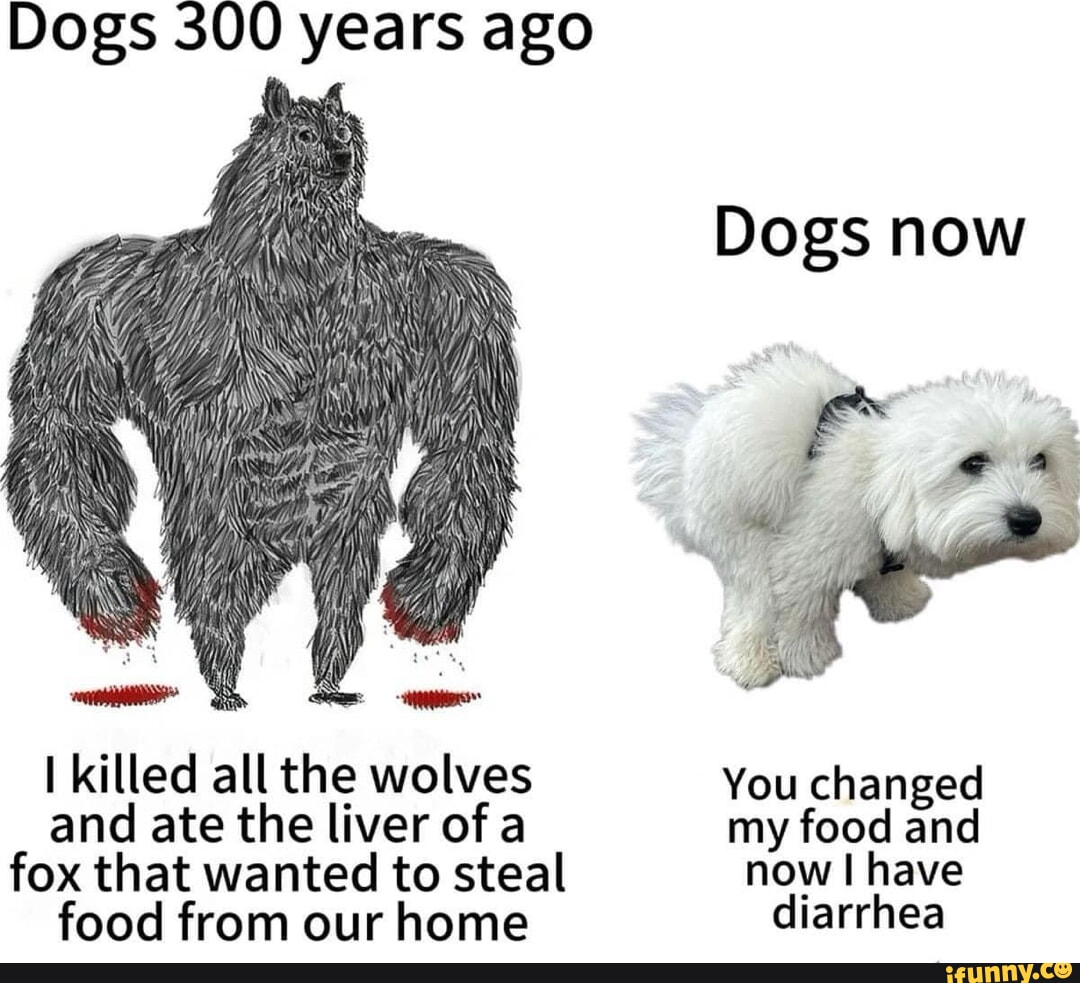 Dogs 300 years ago Dogs now I killed all the wolves You changed and ate ...