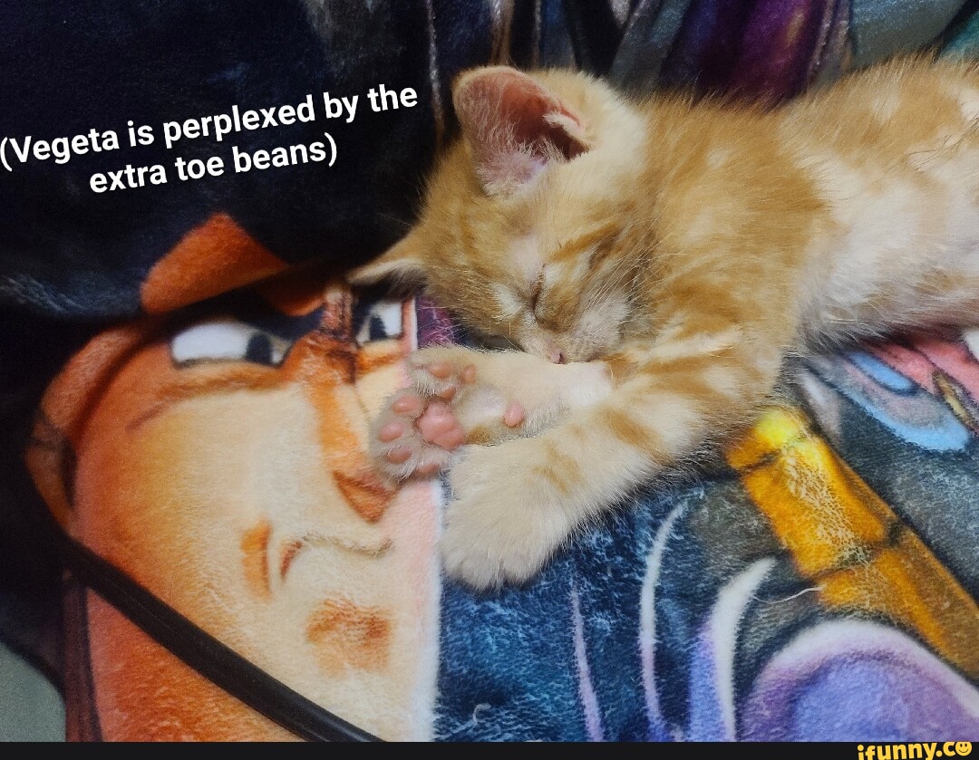 Perplexed memes. Best Collection of funny Perplexed pictures on iFunny