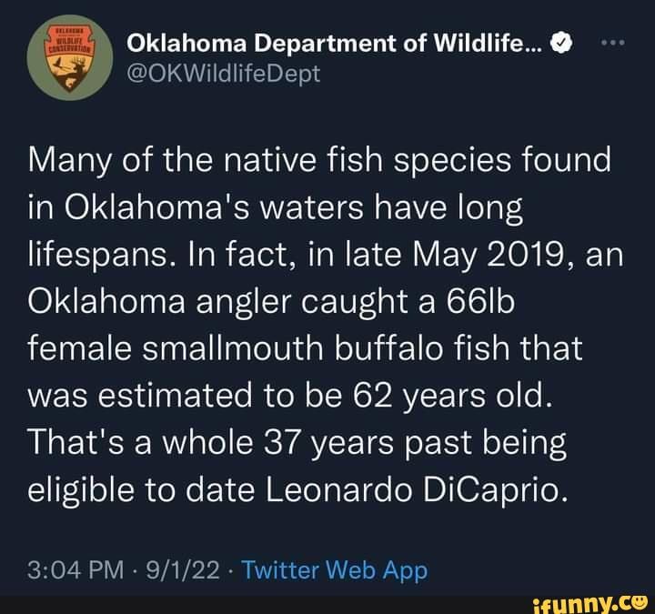 Smallmouth memes. Best Collection of funny Smallmouth pictures on iFunny