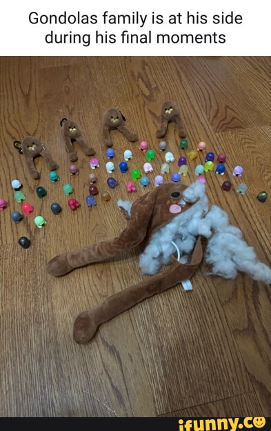 Gondolas family is at his side during his final moments - iFunny