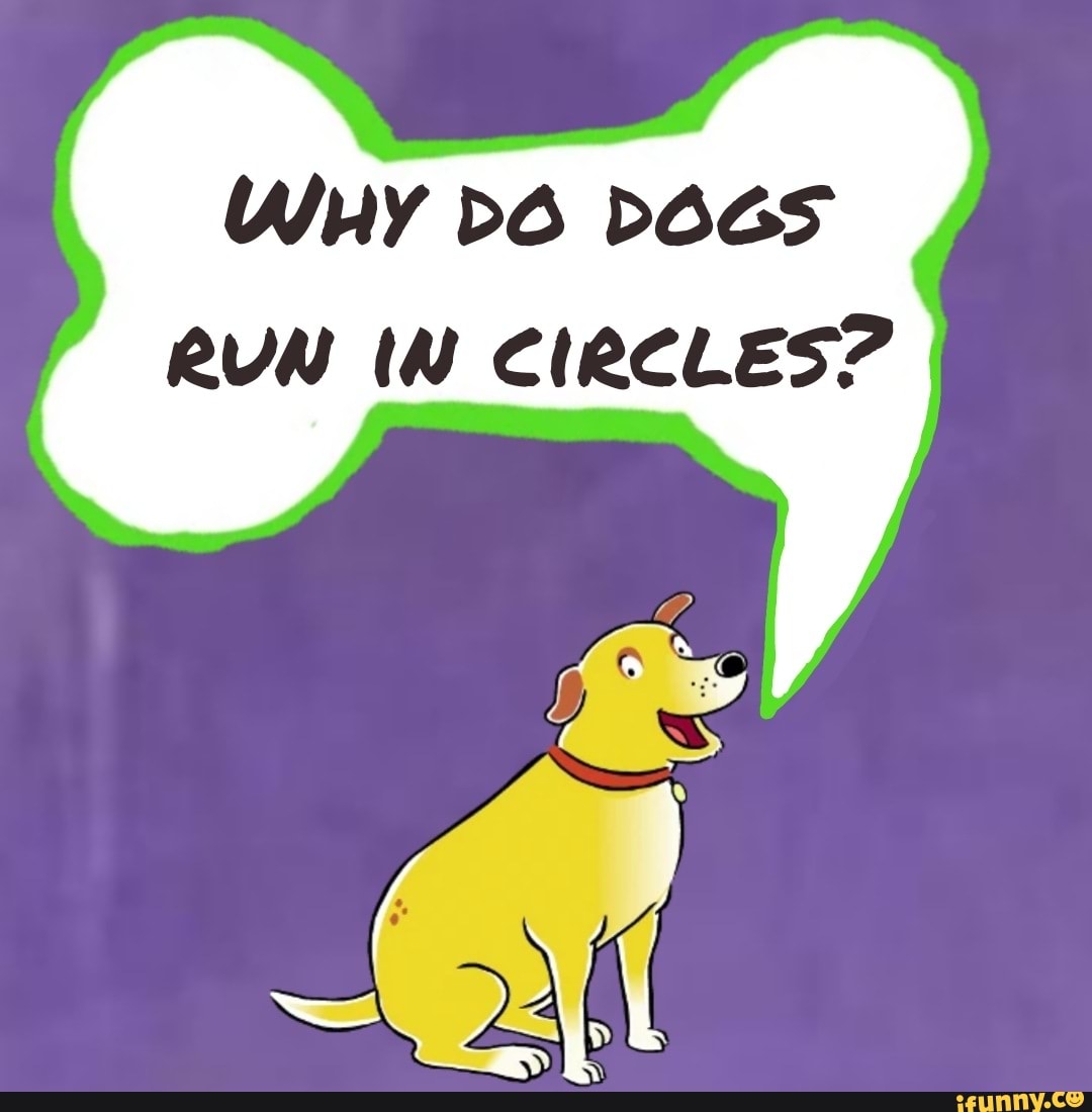 Wy DO DOGS RUN IN CIRCLES? - iFunny