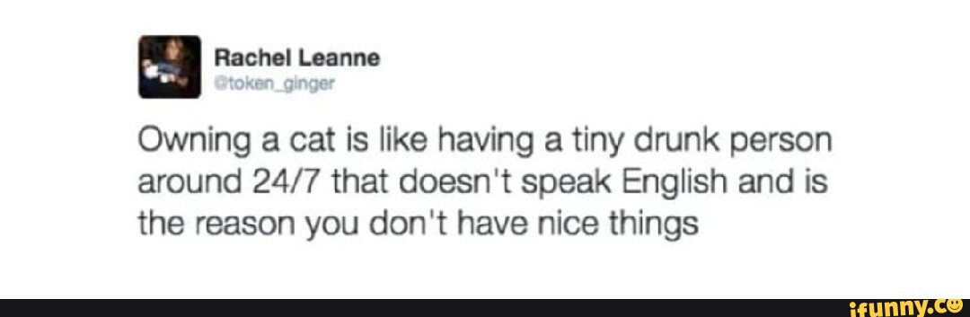 Leanne memes. Best Collection of funny Leanne pictures on iFunny