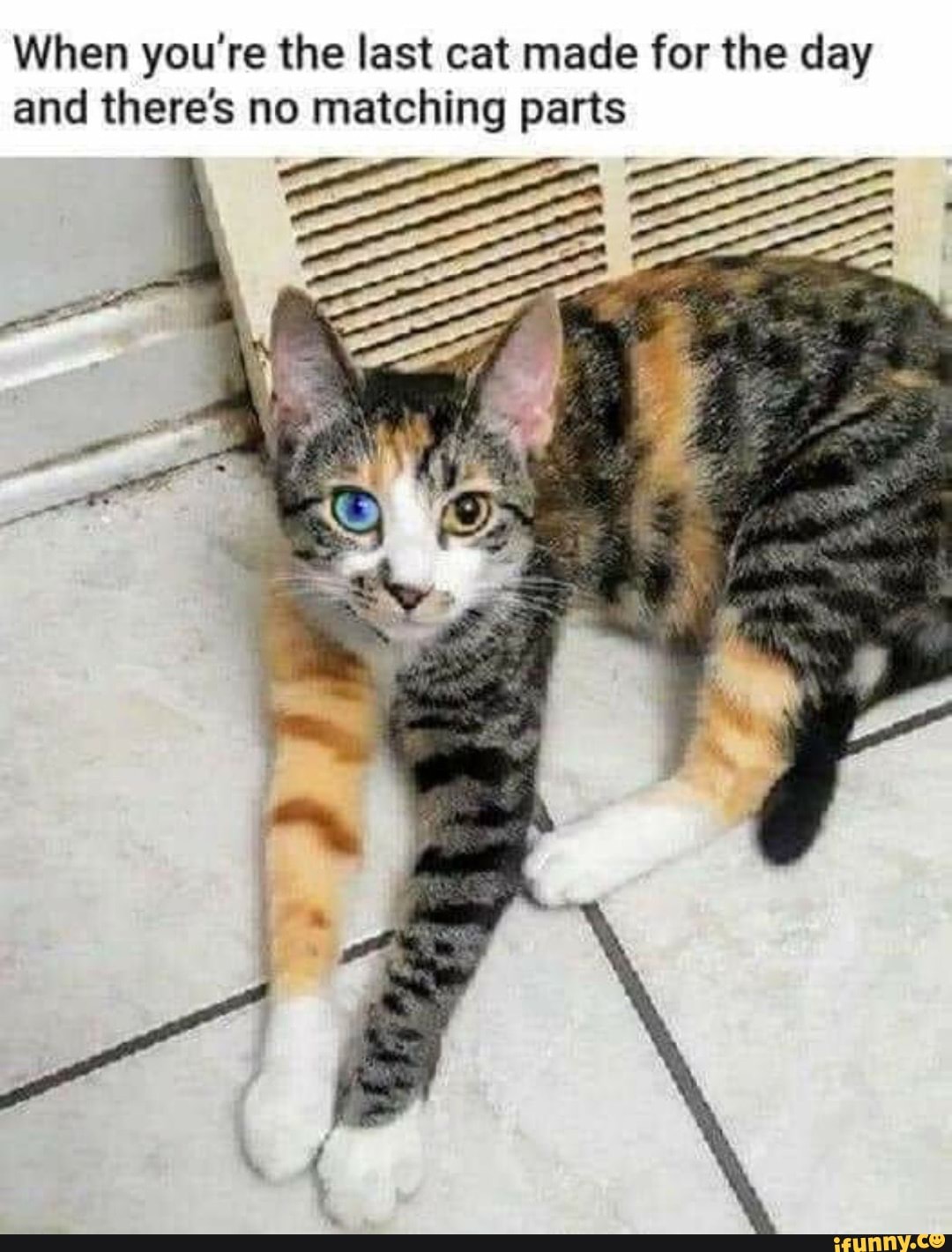 When you're the last cat made for the day and there's no matching parts ...