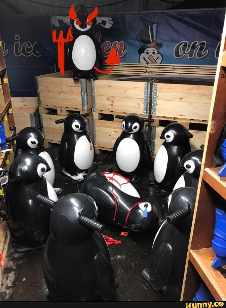 Cursed_penguin memes. Best Collection of funny Cursed_penguin pictures ...