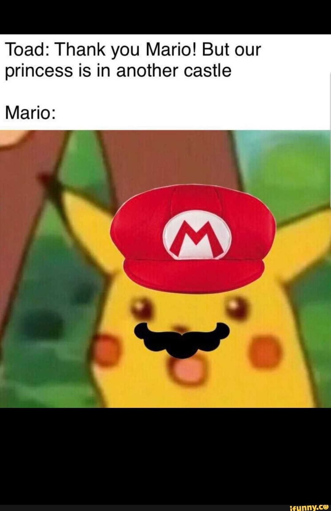 Toad: Thank you Mario! But our princess is in another castle Mario: - iFunny