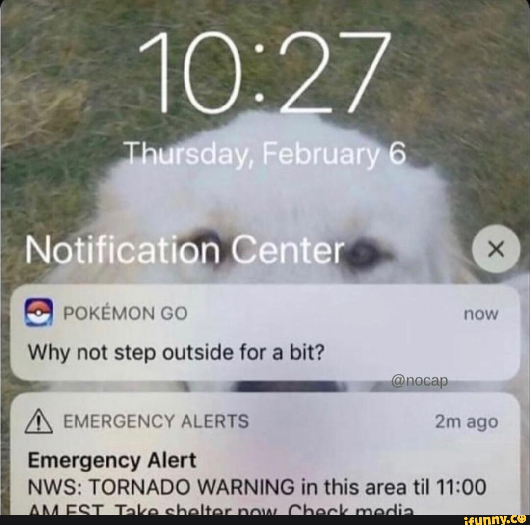 Taba memes. Best Collection of funny Taba pictures on iFunny