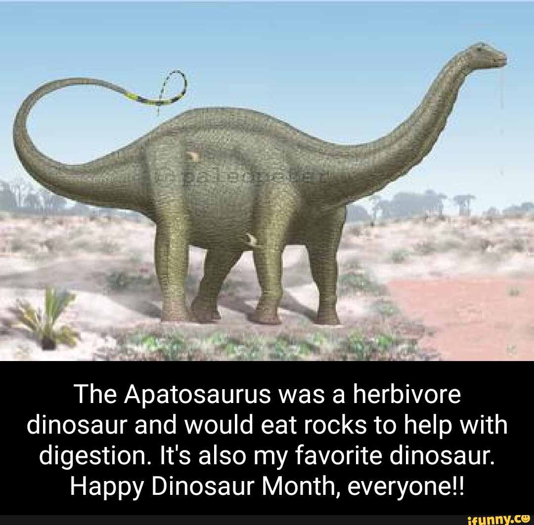 Digestion memes. Best Collection of funny Digestion pictures on iFunny