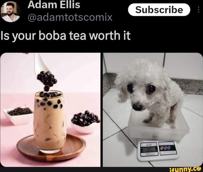 Adam Ellis @p @adamtotscomix Is your boba tea worth it - iFunny