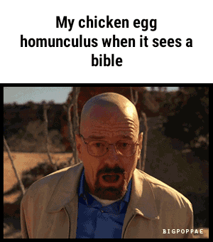My chicken egg homunculus when it sees a bible - iFunny