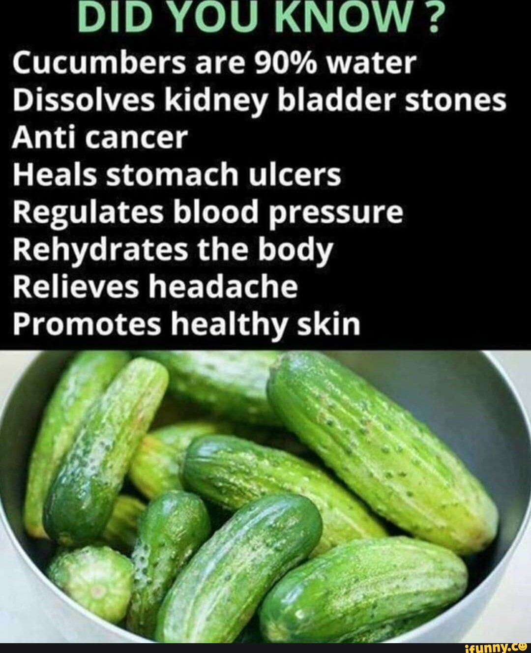 Ulcers memes. Best Collection of funny Ulcers pictures on iFunny