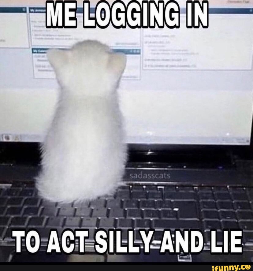 ME LOGGING IN TO ACT SILLY-AND LIE - iFunny