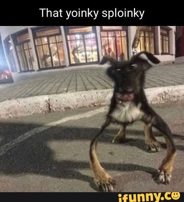 Yoinky Sploinky