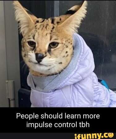 Impulse memes. Best Collection of funny Impulse pictures on iFunny