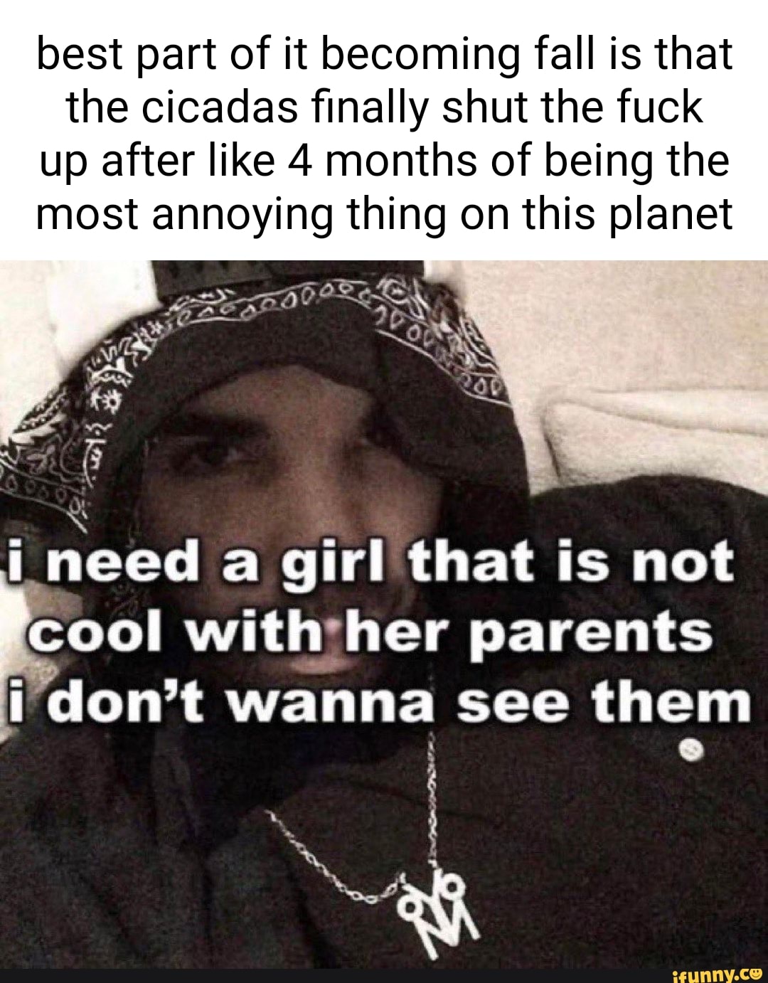 Cicadas memes. Best Collection of funny Cicadas pictures on iFunny