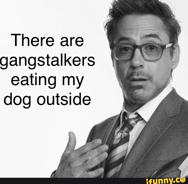 Gangstalkers memes. Best Collection of funny Gangstalkers pictures on ...