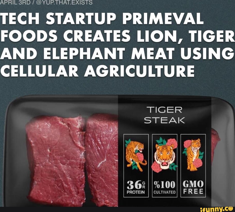 TECH STARTUP PRIMEVAL FOODS CREATES LION, TIGER AND ELEPHANT MEAT USING ...