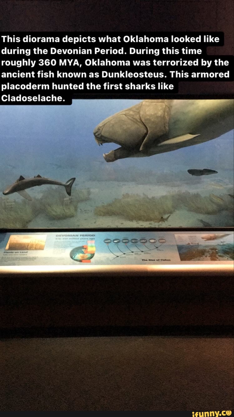 Cladoselache Vs Dunkleosteus