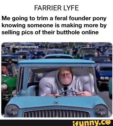 Farrier memes. Best Collection of funny Farrier pictures on iFunny